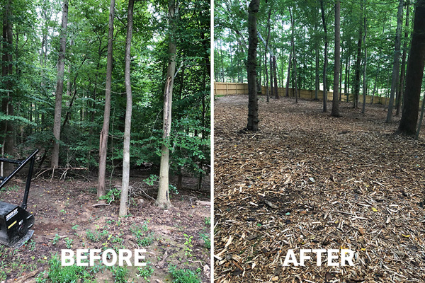 Forestry Mulching - Underbrush Removal, Land Clearing, Fauquier, VA ...