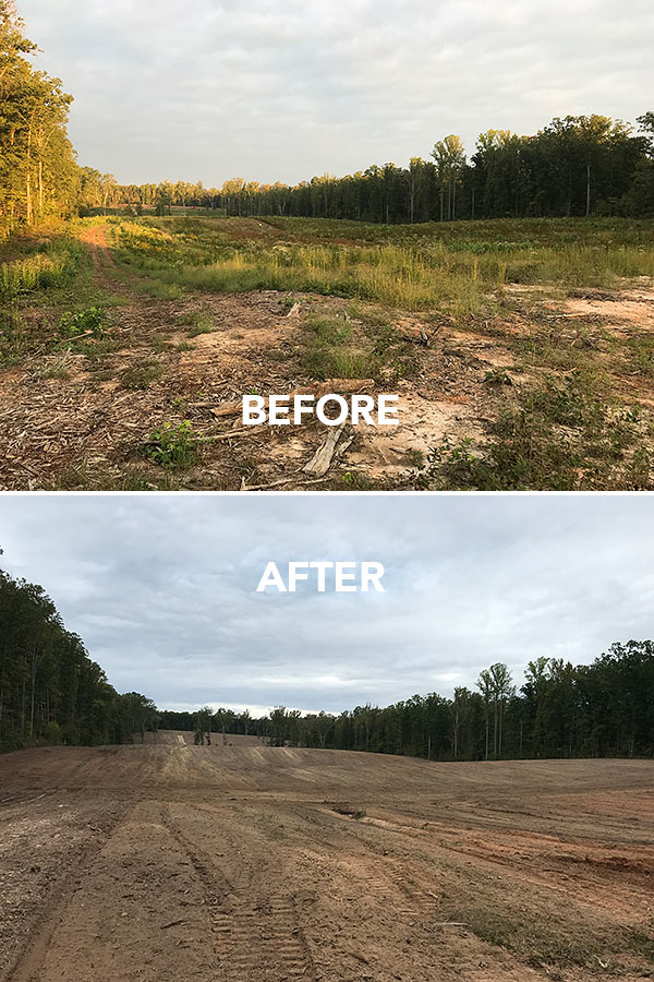 Cutover, Subsoiling, Land Clearing, Mineral, Lake Anna, VA